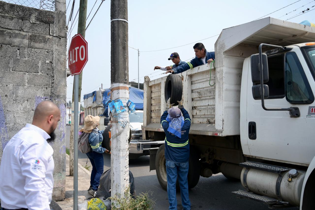 Inicia Córdoba campaña descacharrización masiva para prevenir el dengue | H. Ayuntamiento de ...